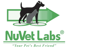 Purebred English Labrador Puppies - WhisperWind Labradors